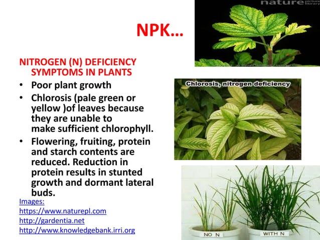 Fertilizers Fertilizer Mixtures And Npk Content Smg Pptx