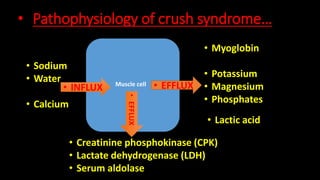 FES AND CRUSH SYNDROME.pptx