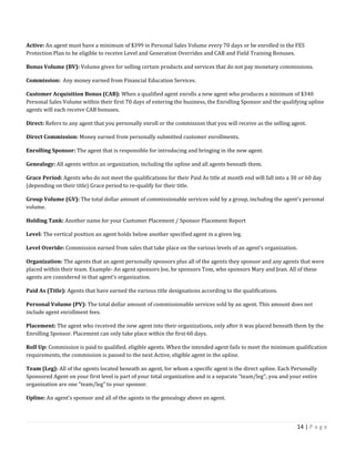FES Compensation Plan 2016 | PDF