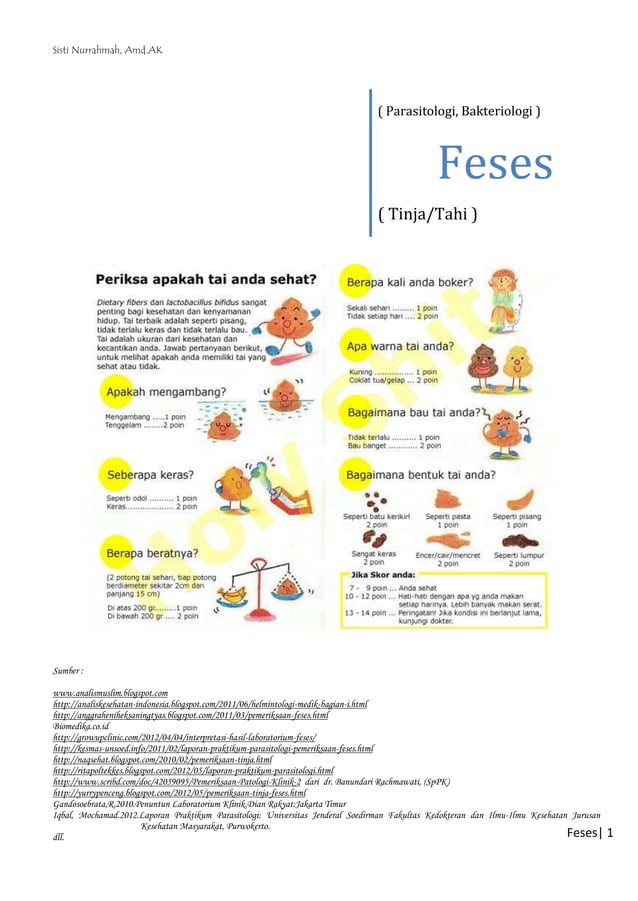 Feses | DOCX