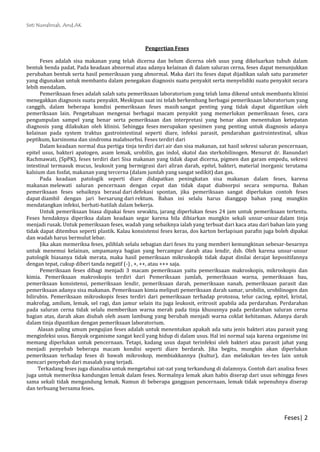 Feses | DOCX