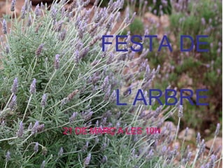 ESCOLA PAX. Festa de l'arbre 21 de març | PPT