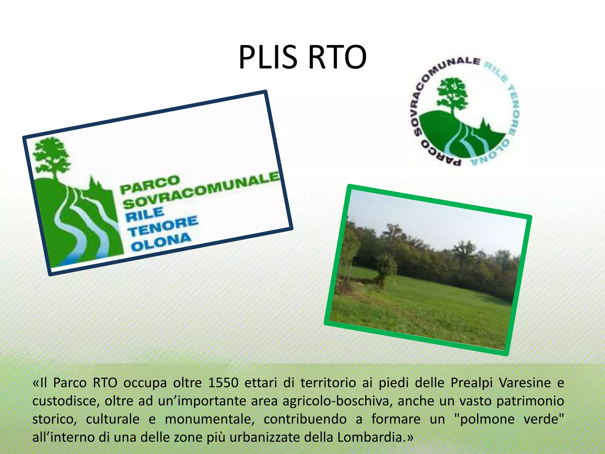 Un festival a Carnago: una simulazione | PPT