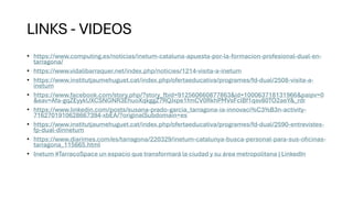 Projecte Iniciativa TIC 2024 INETUM. inCV.pdf