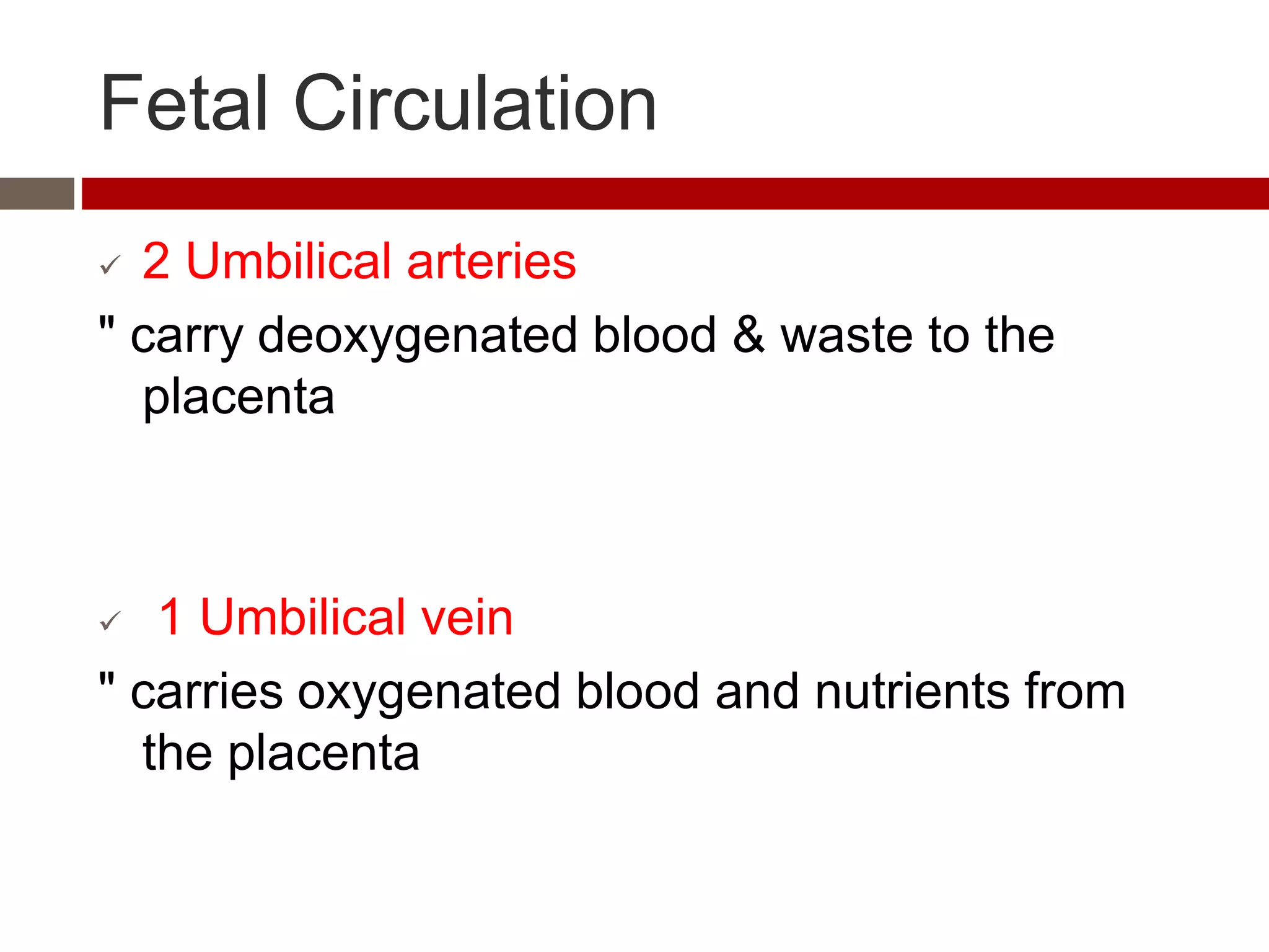 Normal Fetal circulation | PPTX