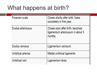 Normal Fetal circulation | PPTX