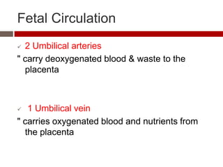 Normal Fetal circulation | PPTX