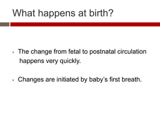 Normal Fetal circulation | PPTX