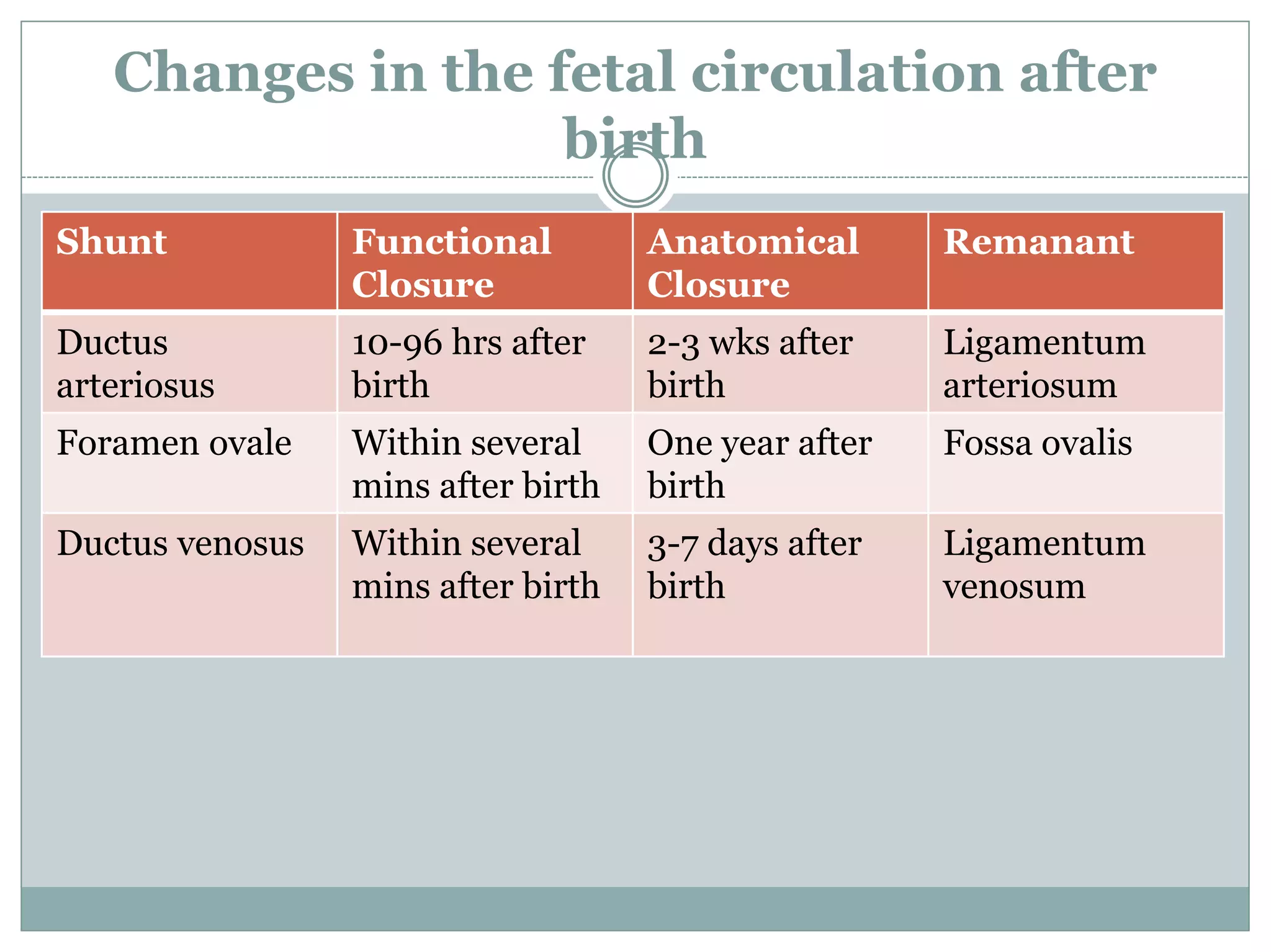 fetal-circulation-.pptx