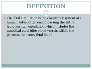 fetal-circulation-.pptx