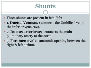 fetal-circulation-.pptx
