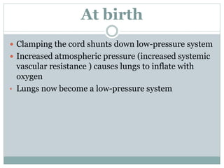fetal-circulation-.pptx