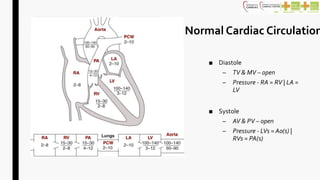 Fetal circulation-updated | PPT | Free Download