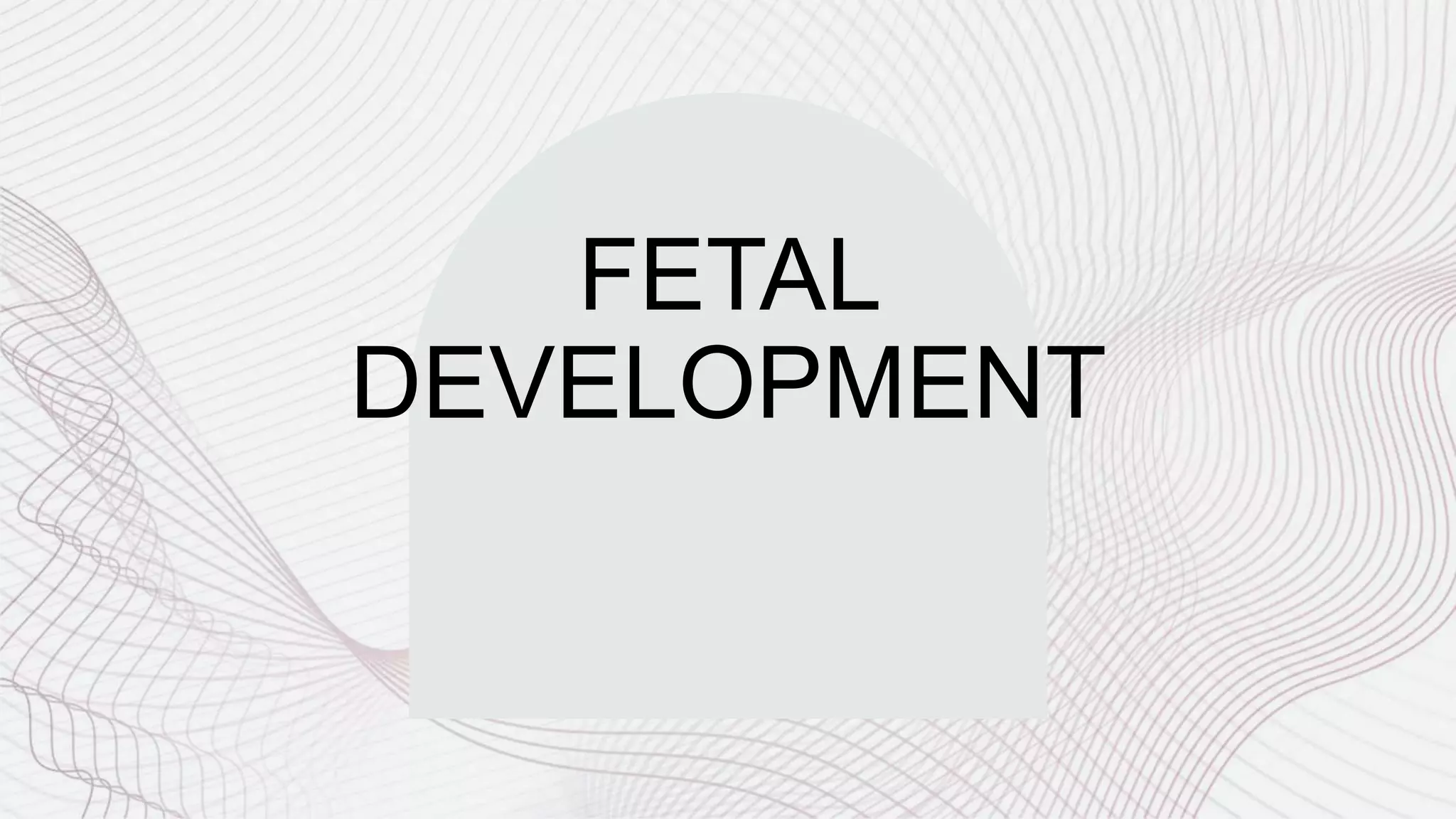 FETAL-DEVELOPMENT.pptx