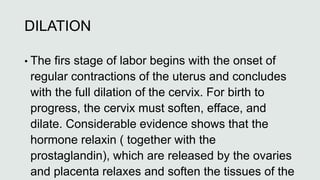 FETAL-DEVELOPMENT.pptx