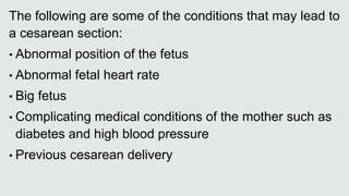 FETAL-DEVELOPMENT.pptx