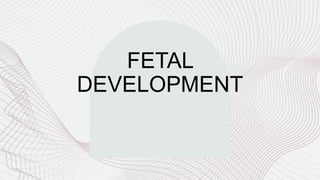 FETAL-DEVELOPMENT.pptx