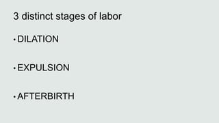FETAL-DEVELOPMENT.pptx