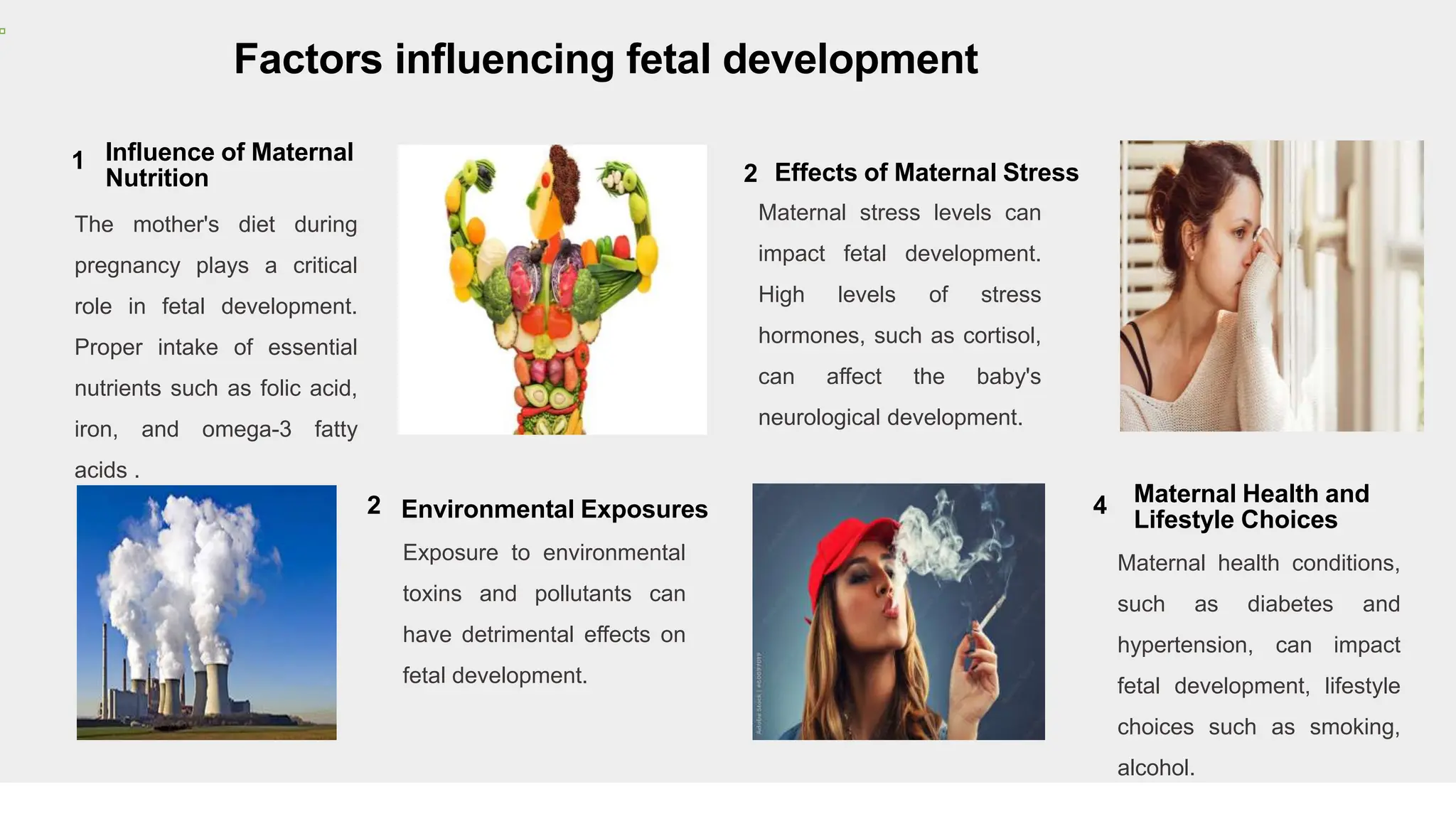 Fetal-Development and growth.pptx.......... | PPTX