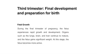 Fetal-Development and growth.pptx.......... | PPTX