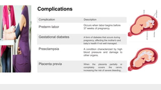 Fetal-Development and growth.pptx.......... | PPTX