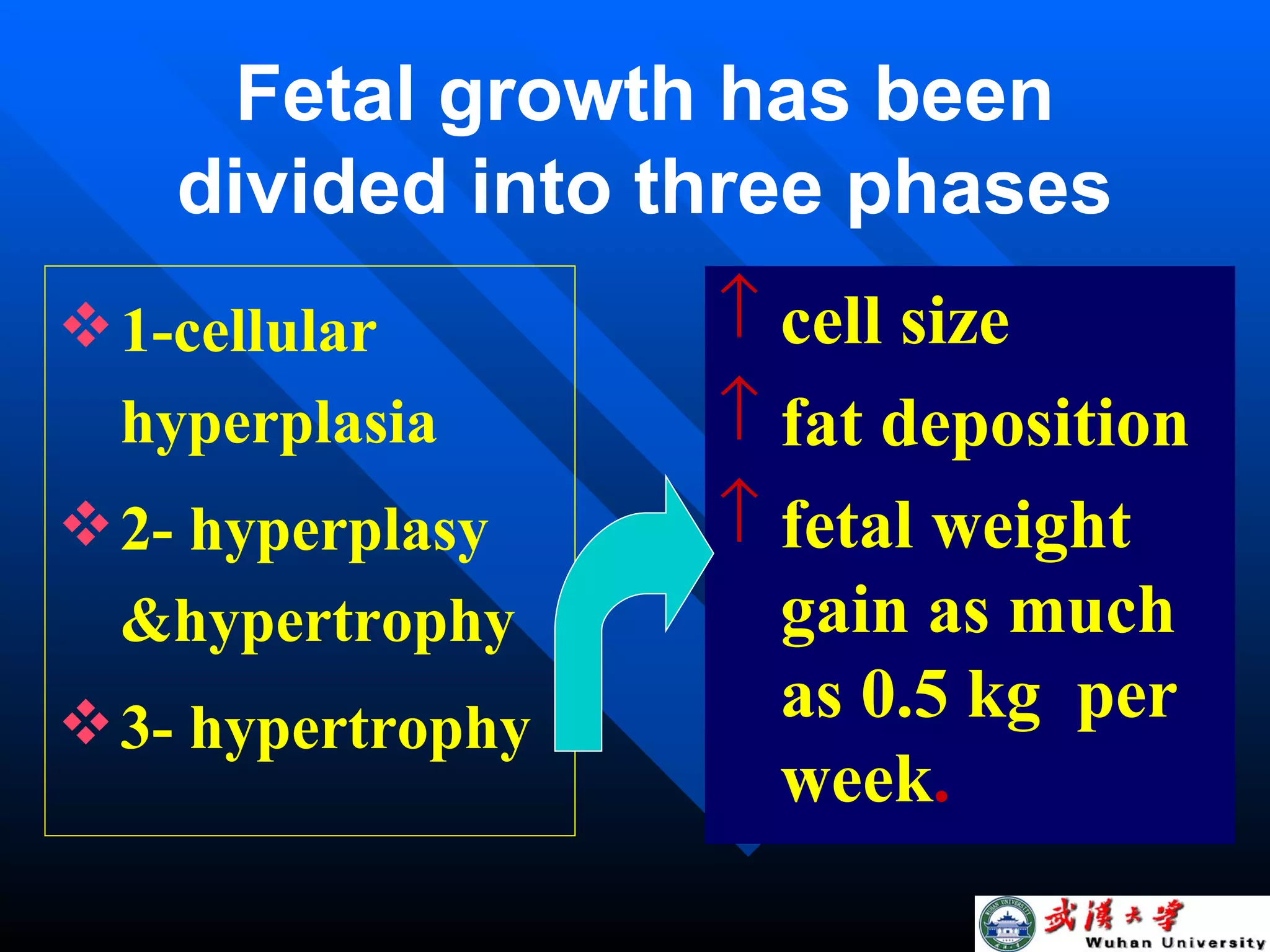 Fetal Growth Restriction(Fgr)改 | PPT