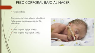 Embriología Clínica: Periodo Fetal | PPTX