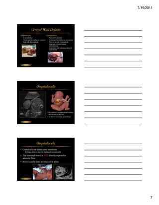 Fetal abdomen | PDF | Pregnancy | Reproductive Health