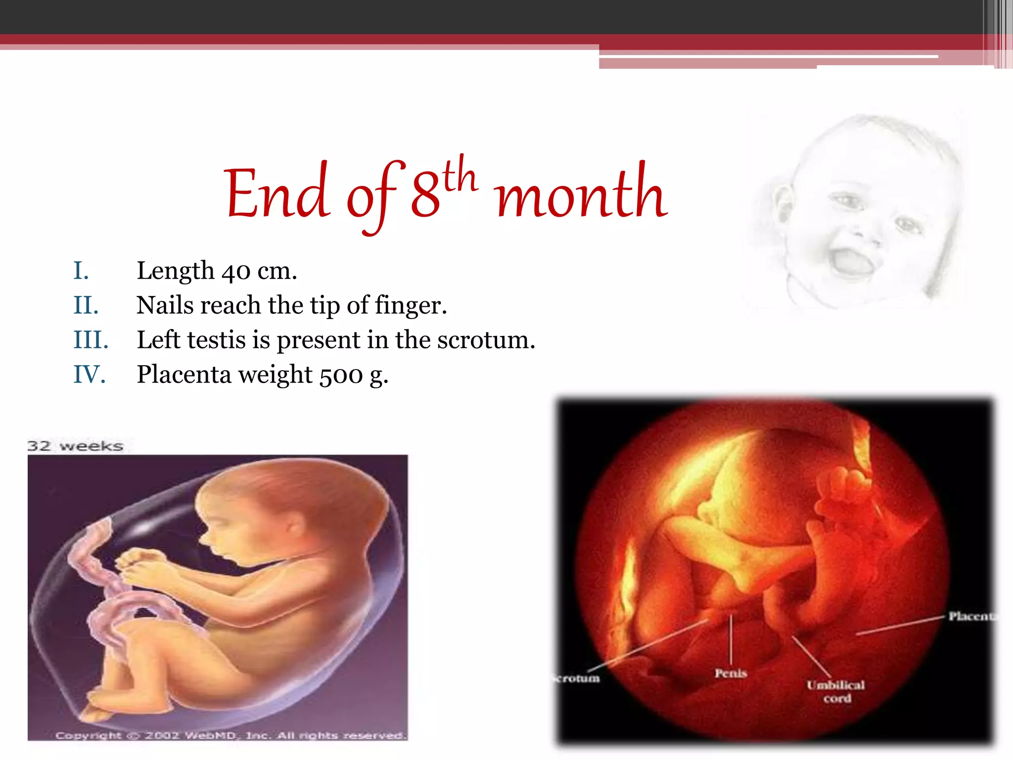 Fetal age & gender determination. | PPTX