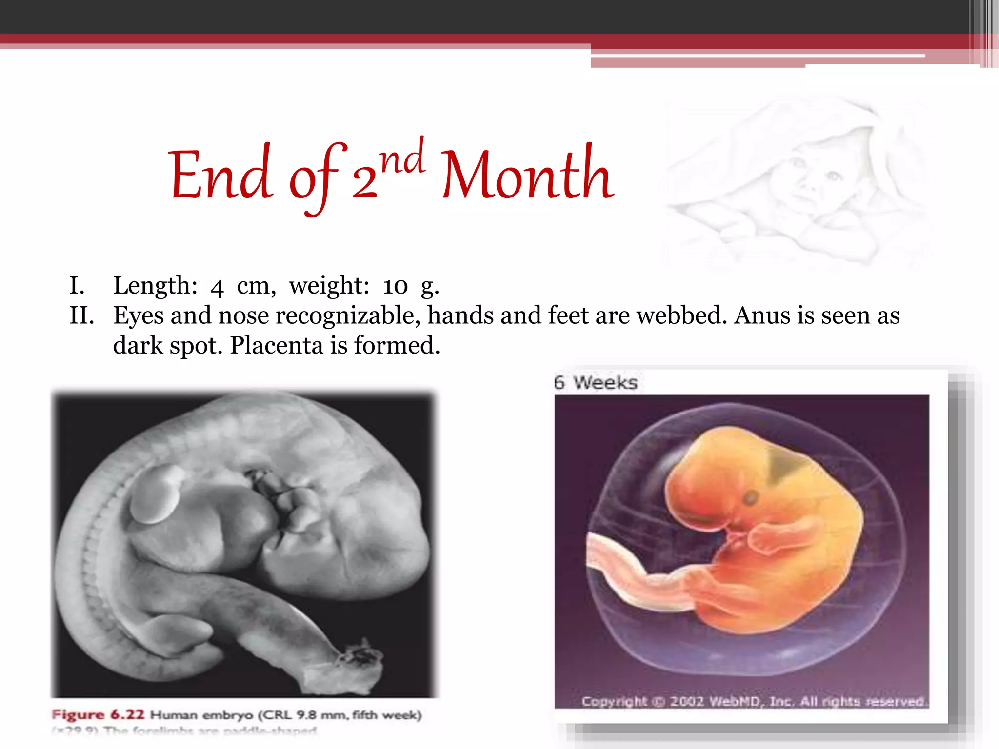 Fetal age & gender determination. | PPTX