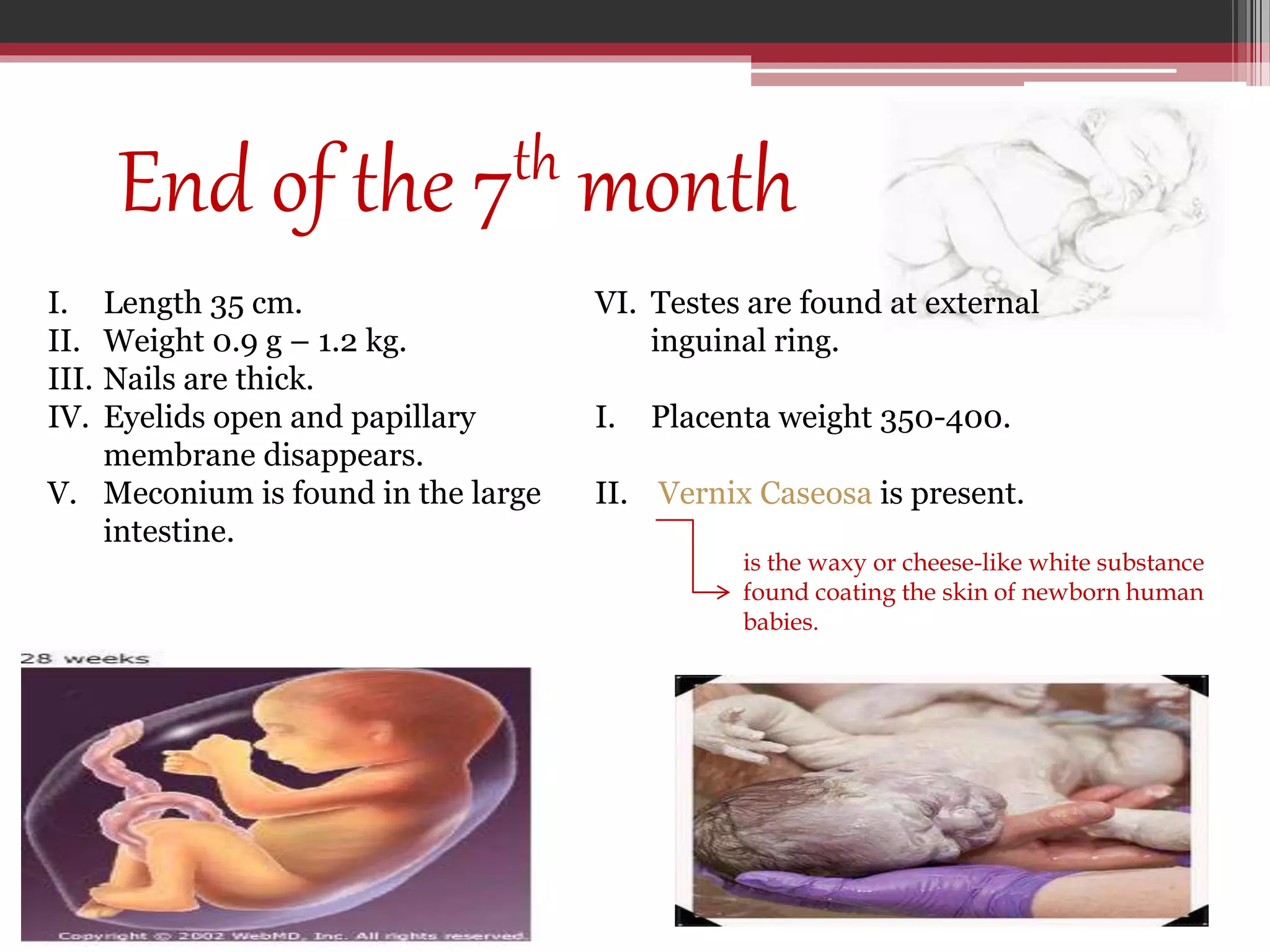 Fetal age & gender determination. | PPTX