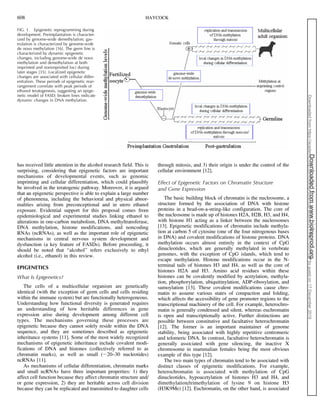 Fetal alcohol spectrum disorders the epigenetic perspective1 philip c ...