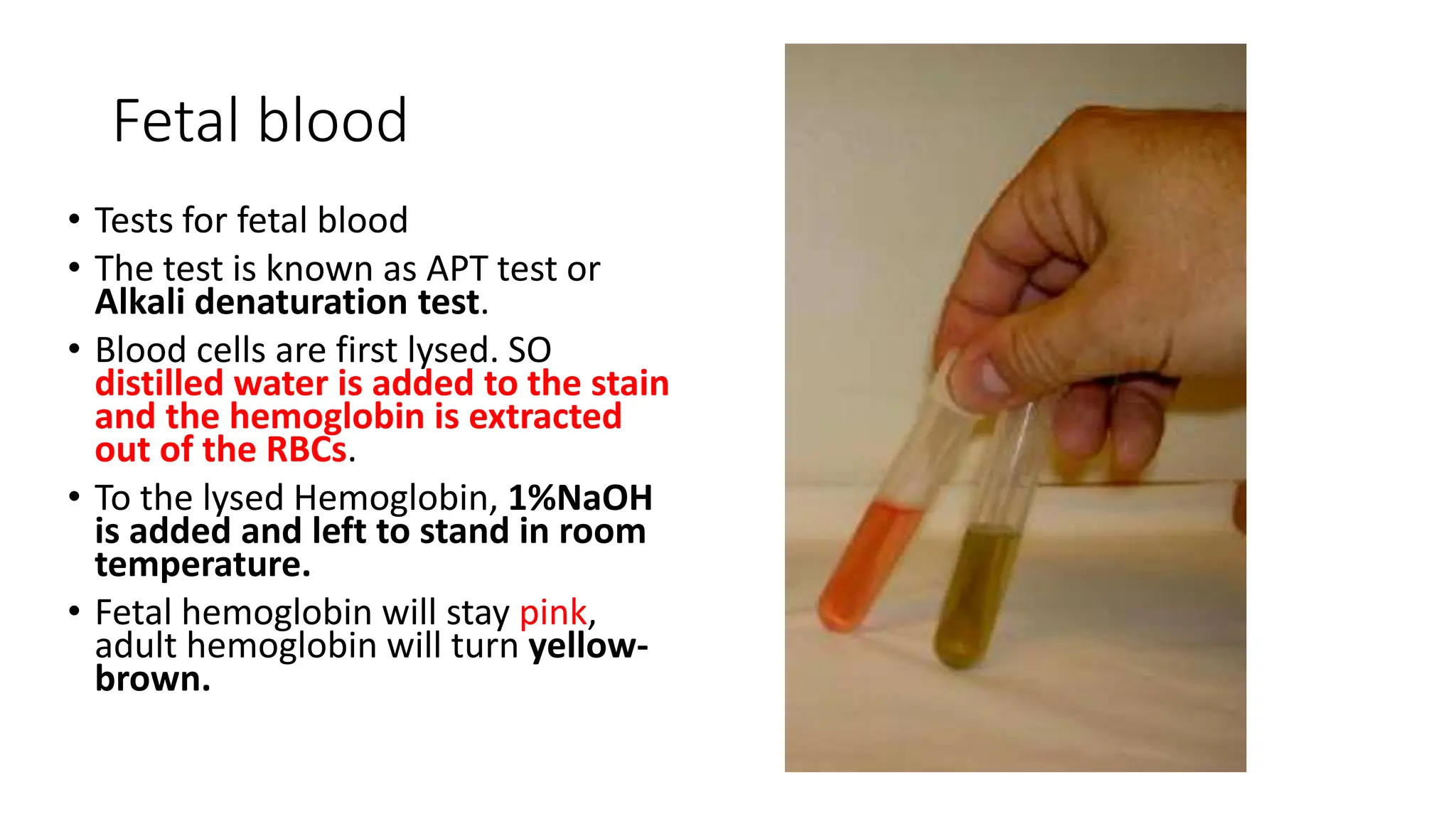 Fetal and adult blood.pptx