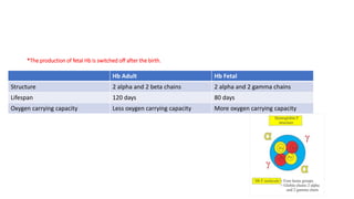Fetal and adult blood.pptx