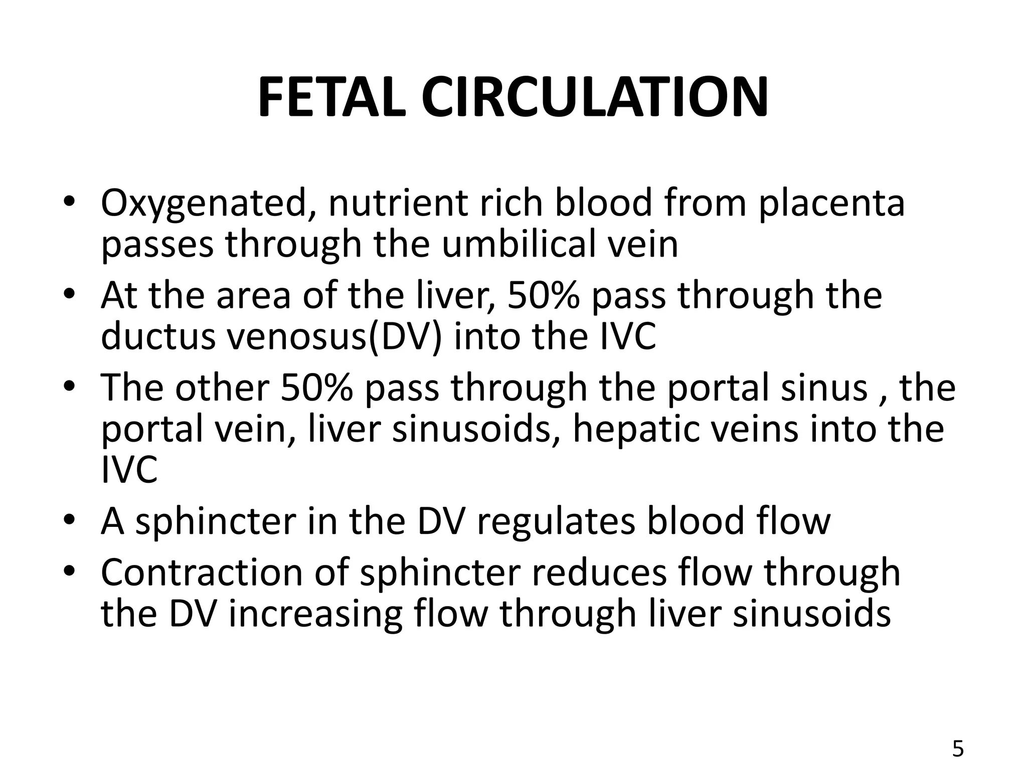 FETAL AND NEONATAL CIRCULATION lecture.pptx