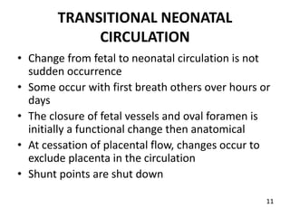 FETAL AND NEONATAL CIRCULATION lecture.pptx