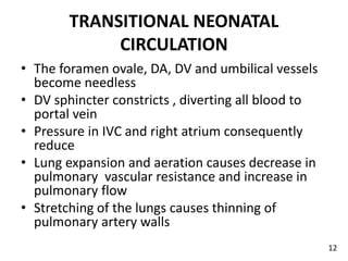 FETAL AND NEONATAL CIRCULATION lecture.pptx