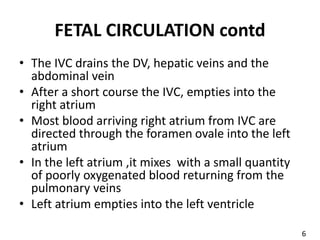 FETAL AND NEONATAL CIRCULATION lecture.pptx