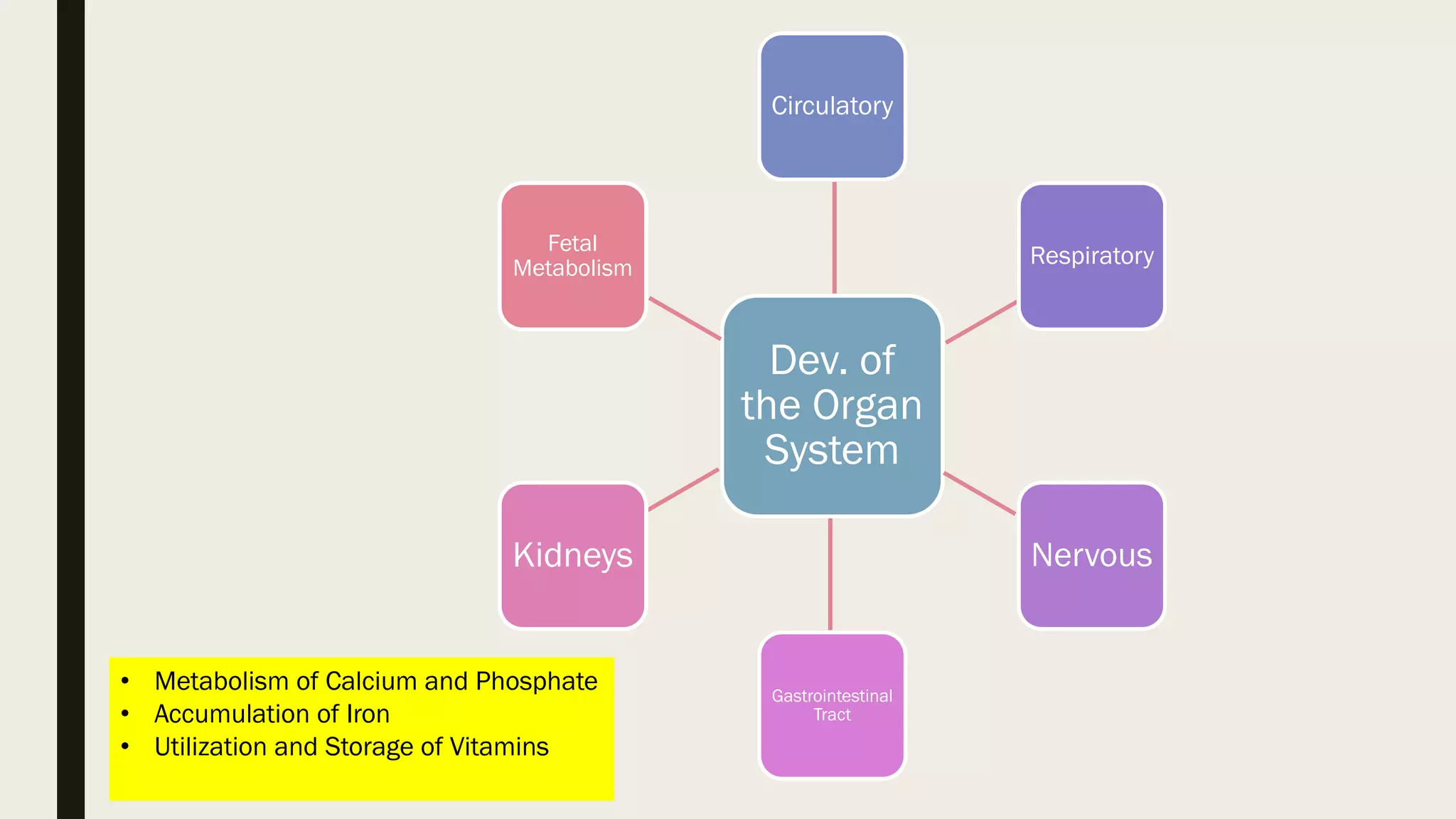 Fetal and neonatal physiology | PDF