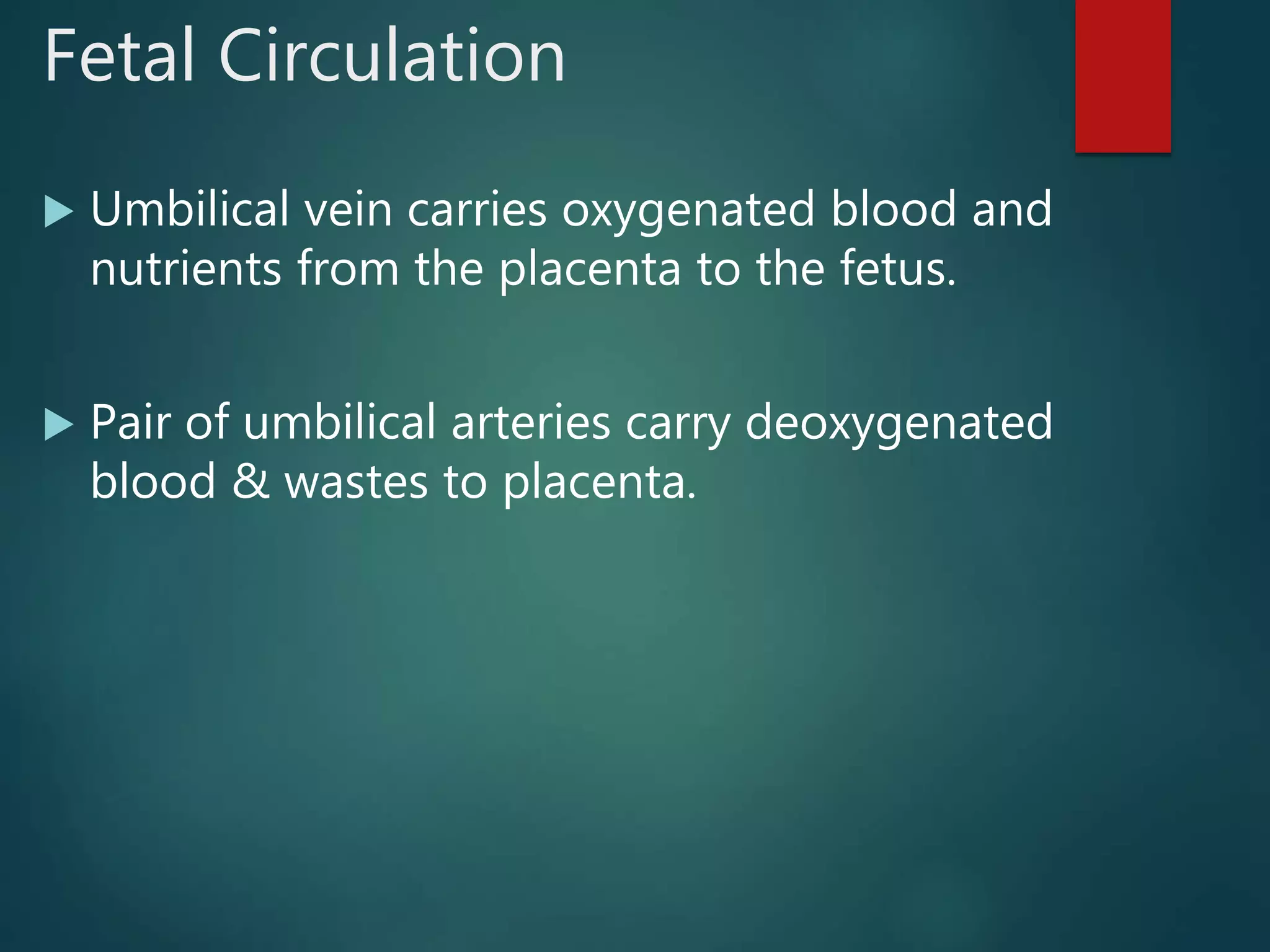 Fetal and neonatal physiology | PPTX