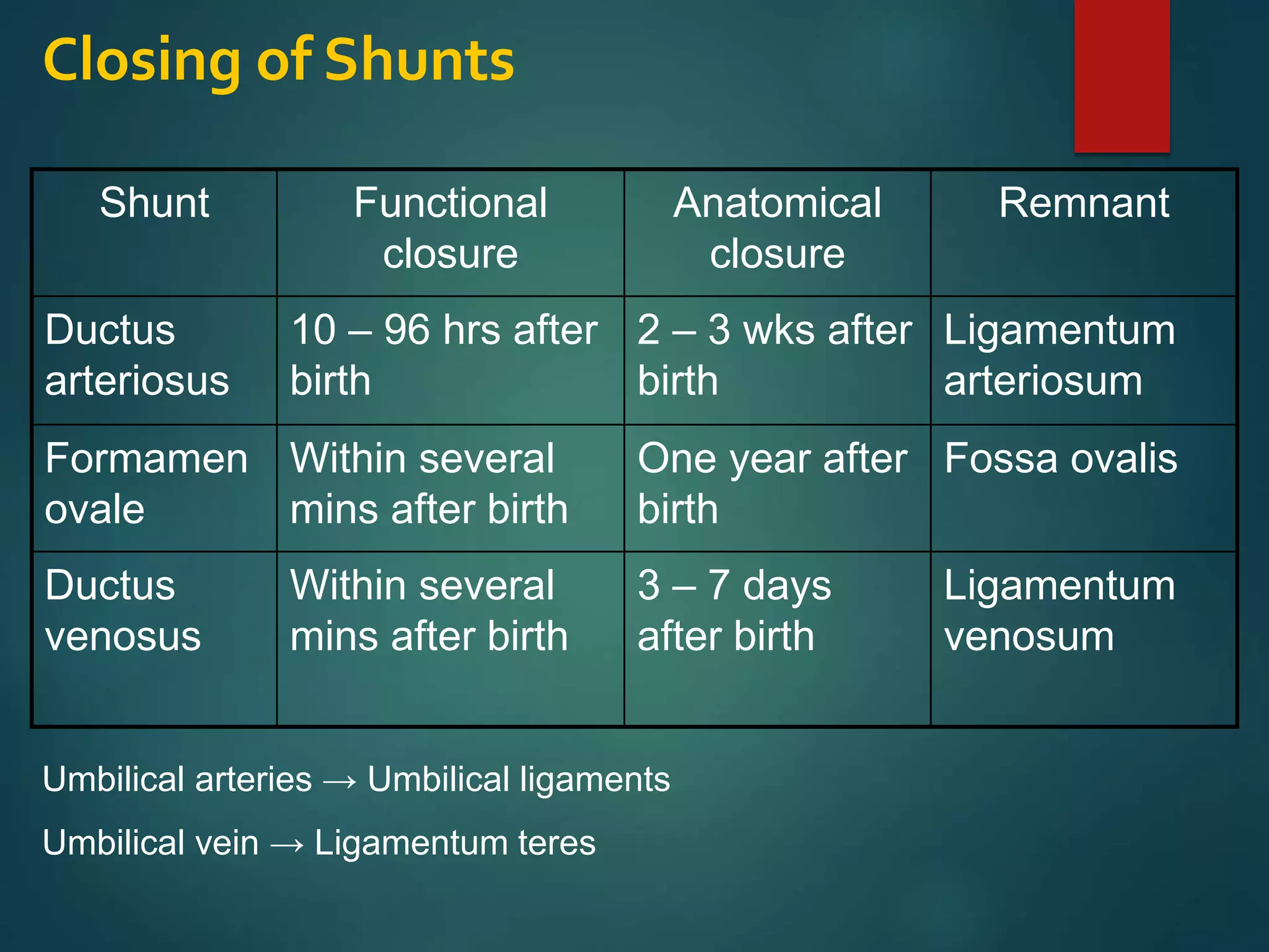 Fetal and neonatal physiology | PPTX