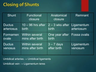 Fetal and neonatal physiology | PPTX | Pregnancy | Reproductive Health