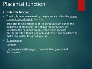 Fetal and neonatal physiology | PPTX | Pregnancy | Reproductive Health