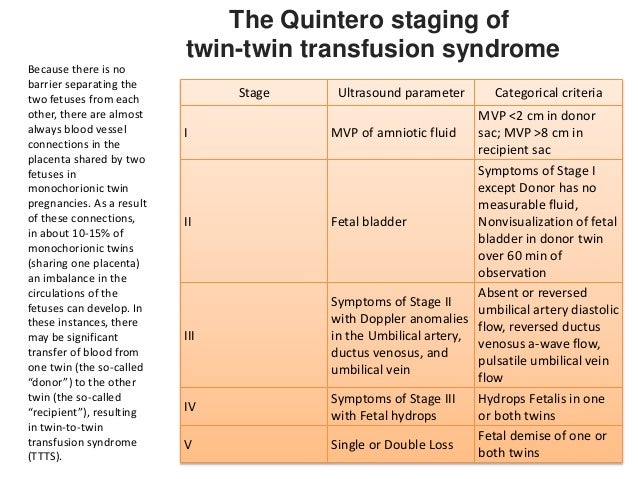 Fetal anomaly archive advanced usg lounge