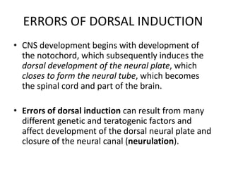 Fetal anomaly scan | PPTX