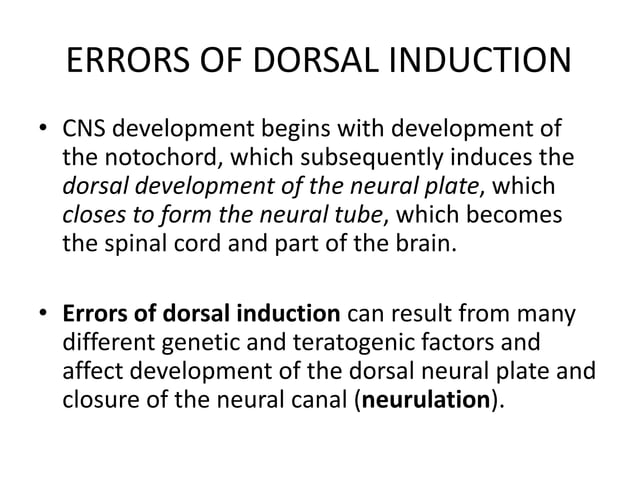 Fetal anomaly scan | PPTX | Pregnancy | Reproductive Health