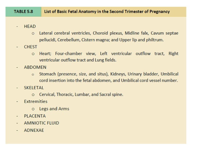 Fetal anomaly scan | PPTX | Pregnancy | Reproductive Health