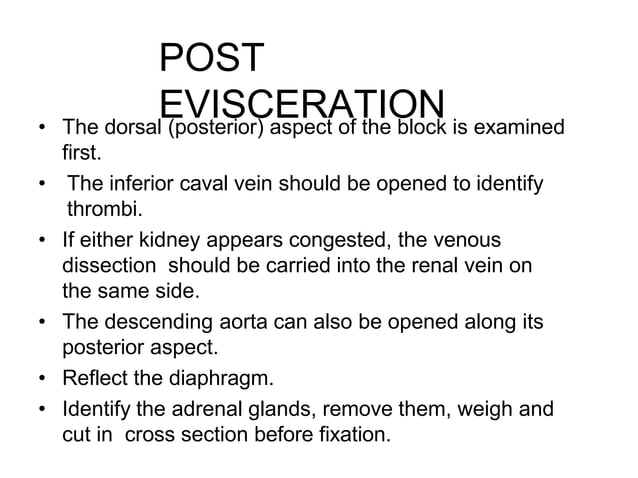 fetalautopsy-1.pptx