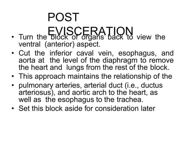 fetalautopsy-1.pptx
