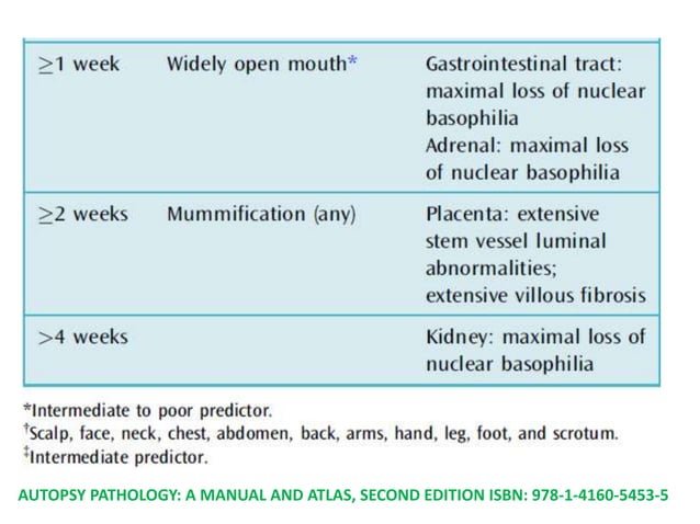 Fetal autopsy | PPTX